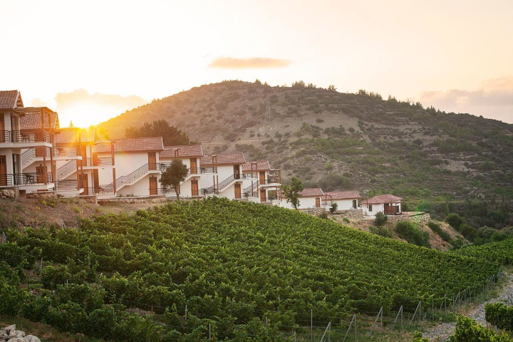 Gillham Vineyard Hotel - Cyprus