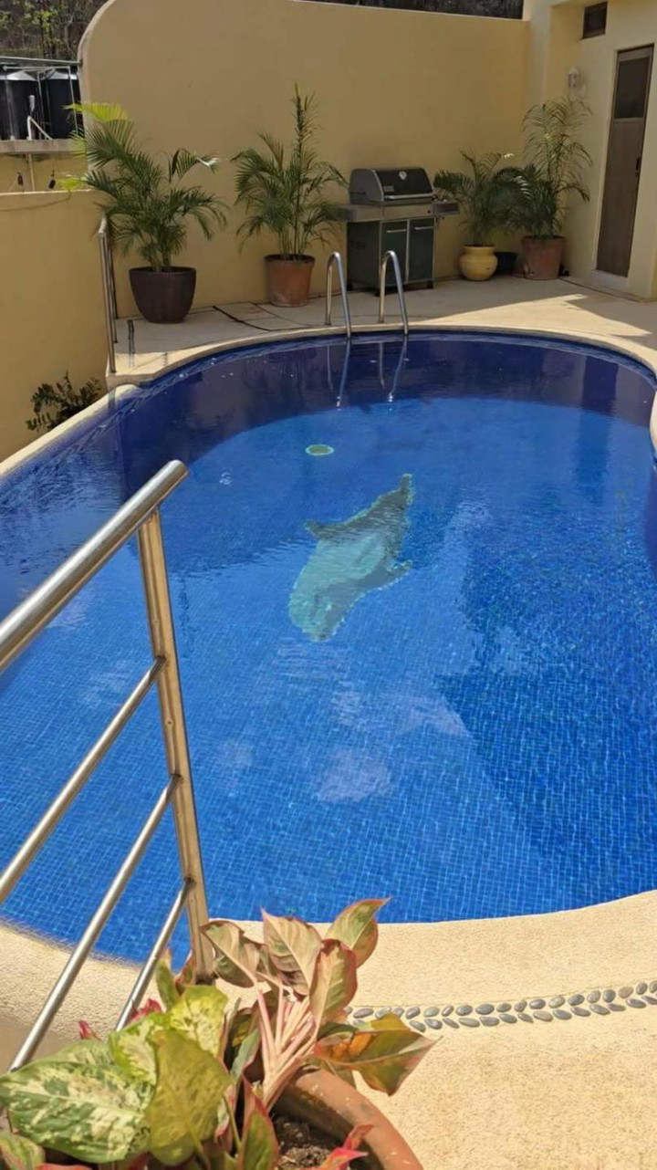Isbel Vacation Home In Ixtapa Zihuatanejo - Ixtapa Zihuatanejo