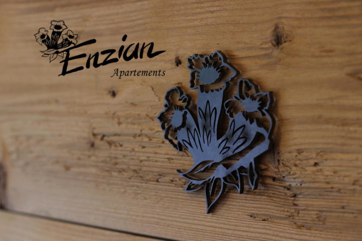 Enzian Apartments - Sillian