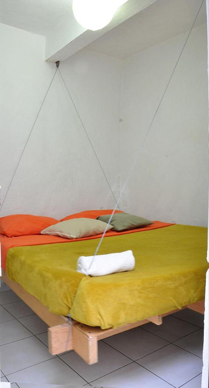 Erhu House - Zapopan