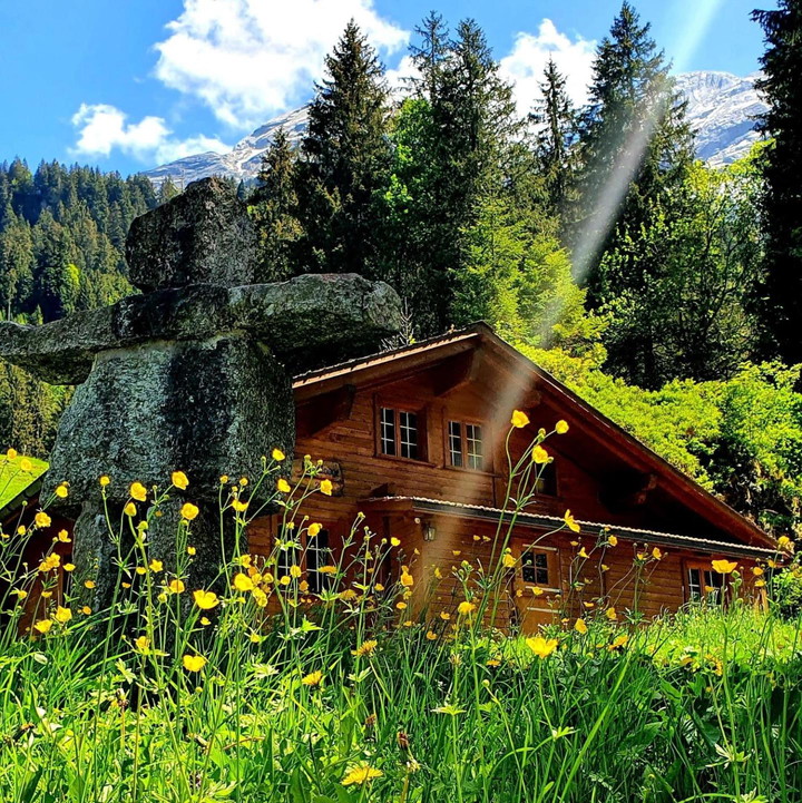Alpenlodge - Meiringen