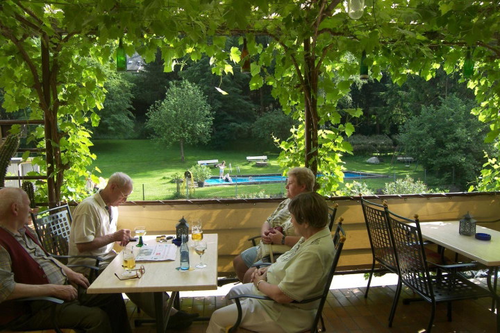 Hotel Dampfmühle - Traben-Trarbach