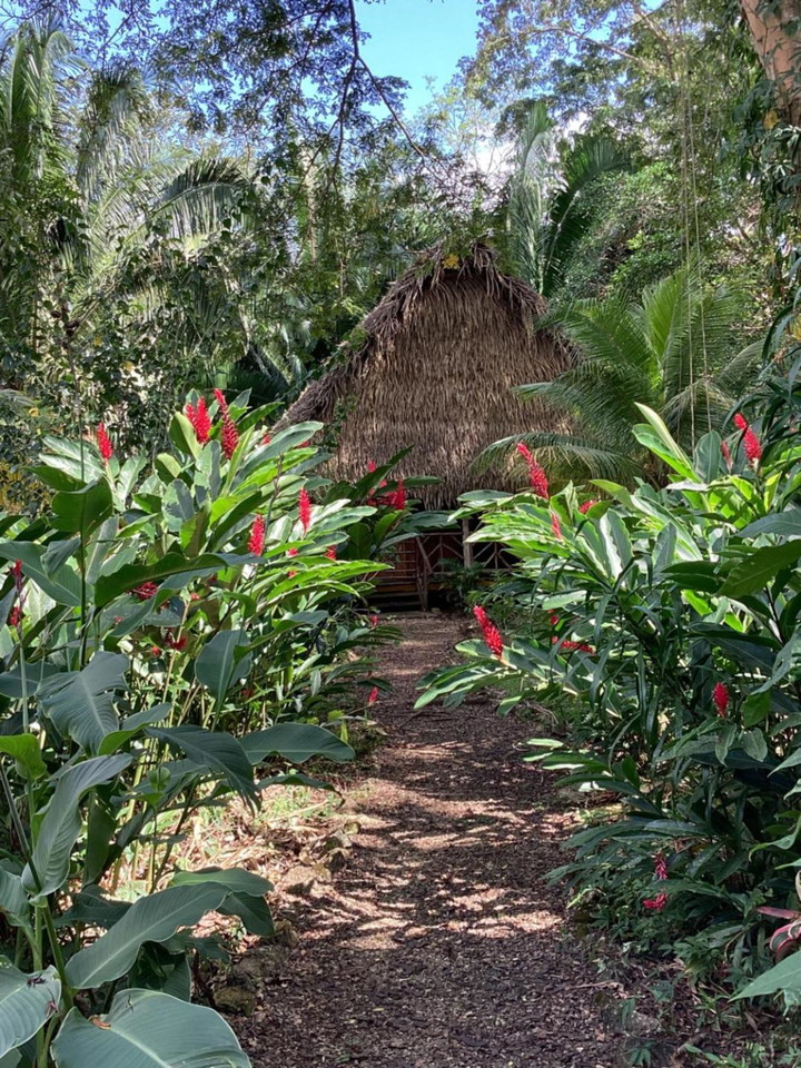 Sun Creek Lodge - Belize