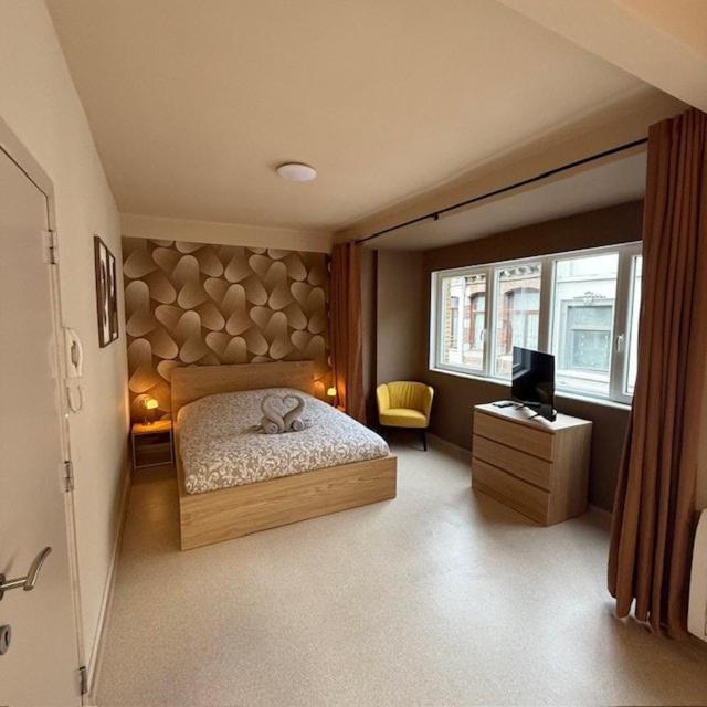 Studio Balcon Cozy Center Of Mons - Mons