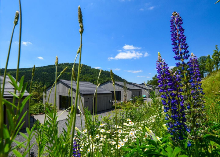 Sauerland Lodge - Haus Maxim - Winterberg