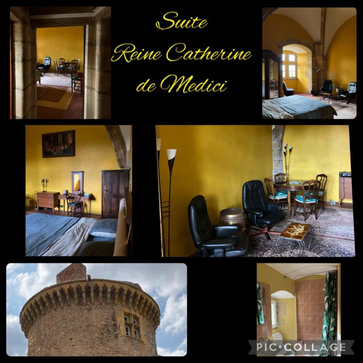 Chateau D Albon - Catherine De Medicis - Roanne