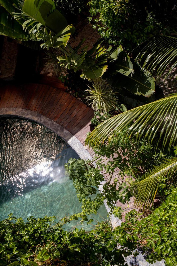 Botånica Tulum - Tulum