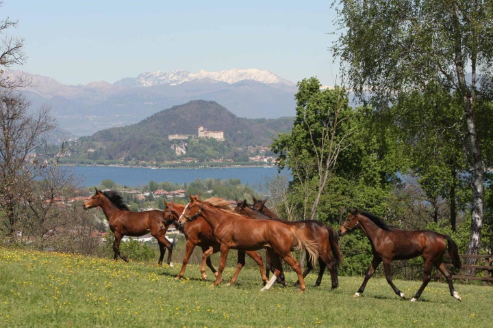 La Cucchetta - Arona