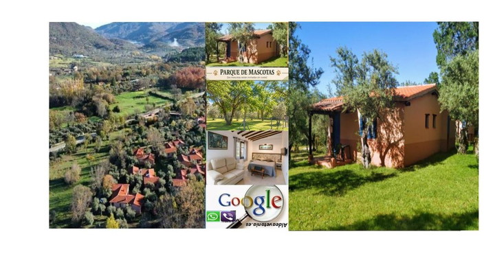 Aldea Vetonia Resort Naturaleza Y Descanso-otoño 2026 Minimo 3 Noches- Check Out 19h "Mascotas Sin Coste" - Espagne