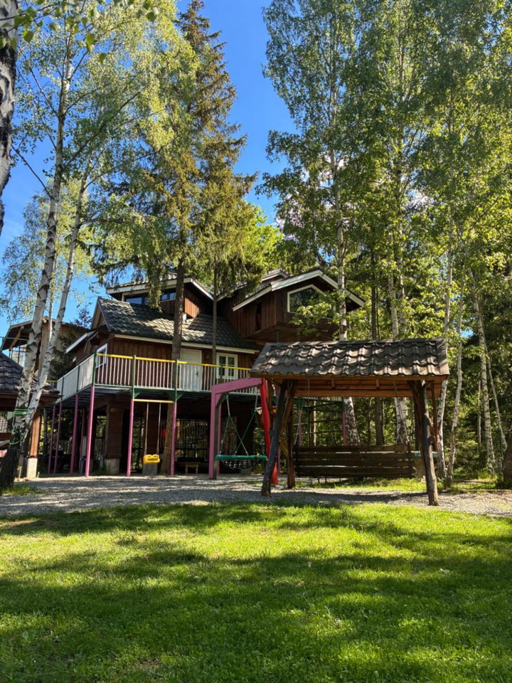Cabana Din Padure Si Casutele Din Copac Belis - Beliș