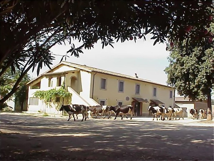 Biobagnolese Agriturismo - Provincia di Viterbo