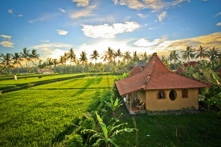 Dragonfly Village - Ubud