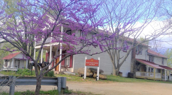 Bliss Point Farm - Virginia