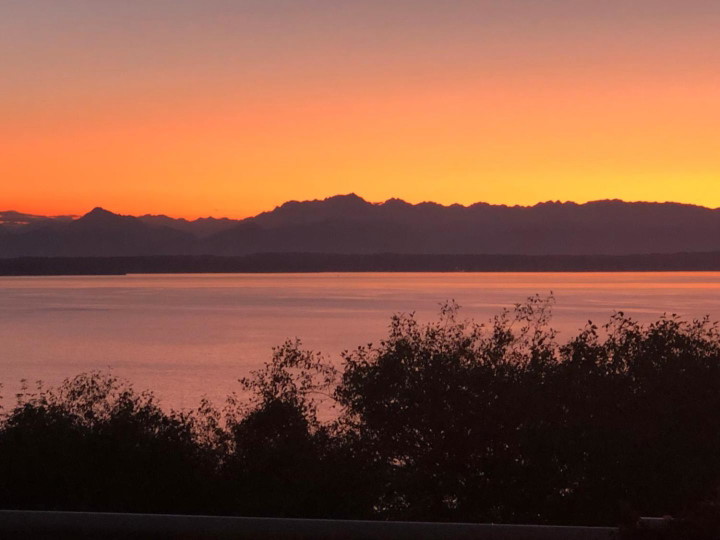 1-bedroom Seaview Guesthouse On Seattle Luxury Estate With Views Of Olympic Mountains - Bainbridge Island, WA