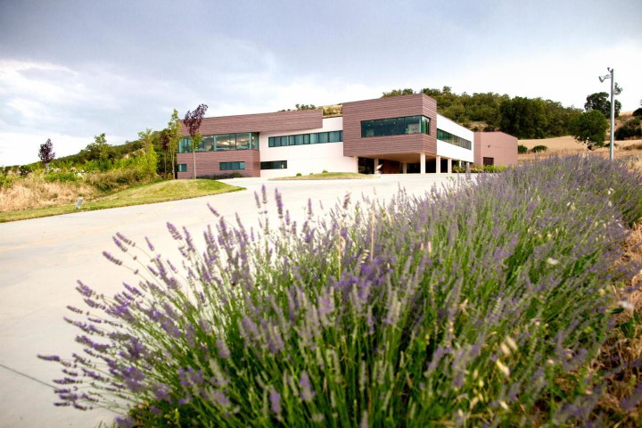 Hotel Bodegas Traslascuestas - Grupo Piérola - Peñafiel