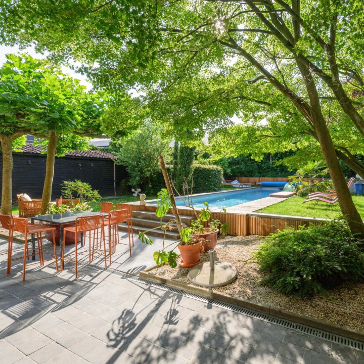 De Visitatie Rupelmonde - Boom