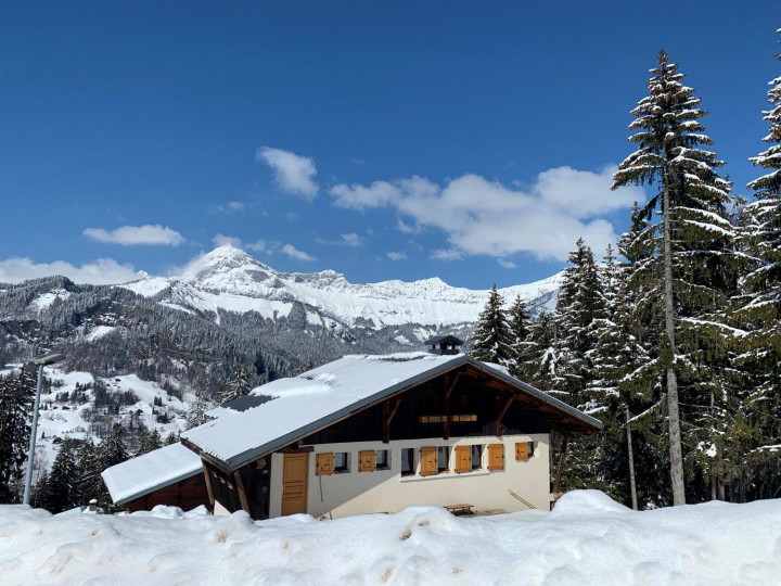 Chalet Le Remarquable, Crest Voland - Crest-Voland