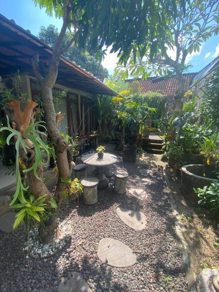 Coliving Bali Sweet Home Tabanan,daily & Monthly Stay,kost Bulanan - Bali