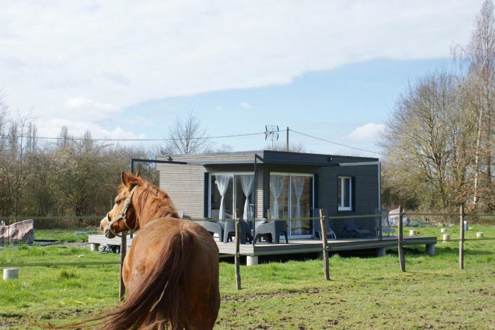 Cottage Tout Confort Au Milieu Des Chevaux - Saint-Fargeau