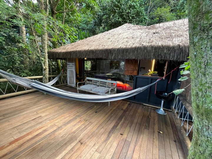 Rainforest Paradise 3 - Rio de Janeiro