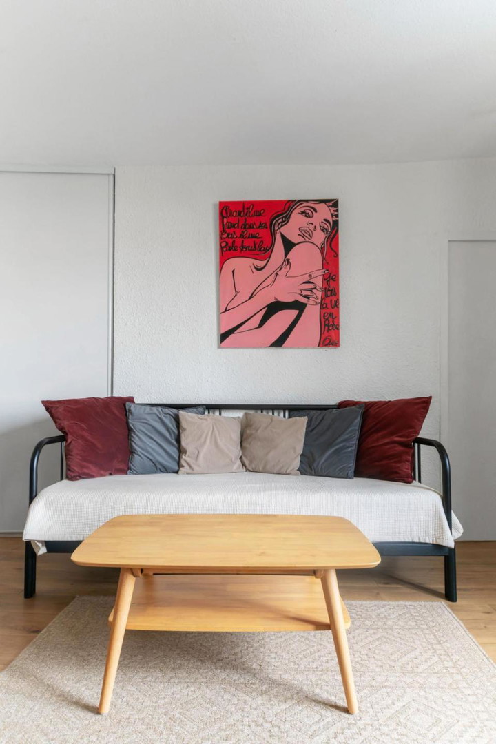 Grande Maison Clermont - Appartements Centre Ville - Gerzat