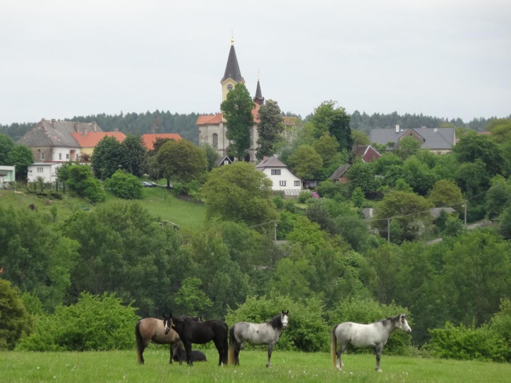 Hostinec U Janatů S Ubytováním - Czechia