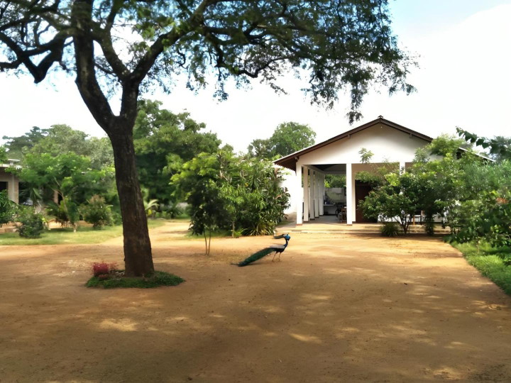 The Treasure - Habarana - Sri Lanka