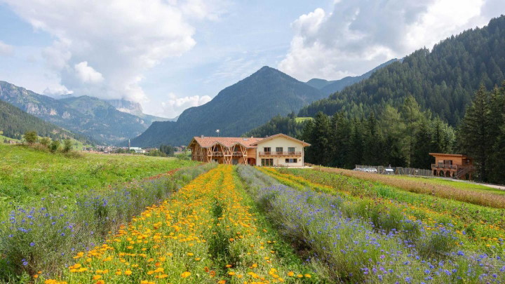 Eco-green Fiores Agriturismo - Canazei, TN, Italie
