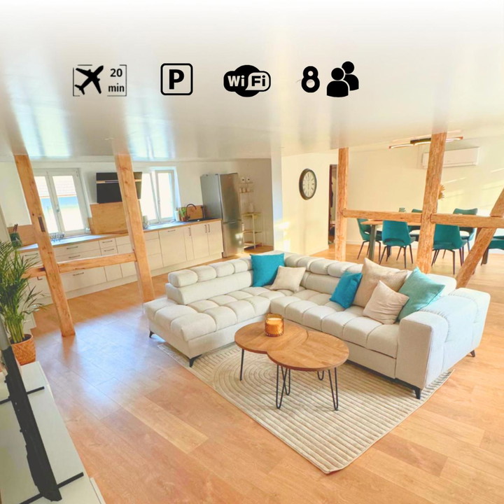 Grand Appartement Chaleureux - Alsace