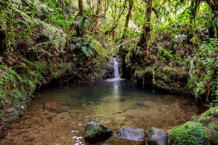 Boskoso Forest Retreat Jacuzzi & Waterfall - Filandia