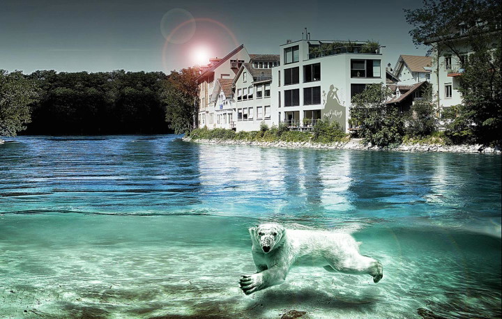 Sonnen Loft Bern - Bed & Breakfast - Bern