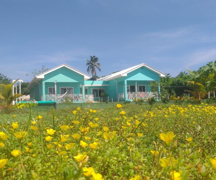 Blue Lizard House - Caraïbes