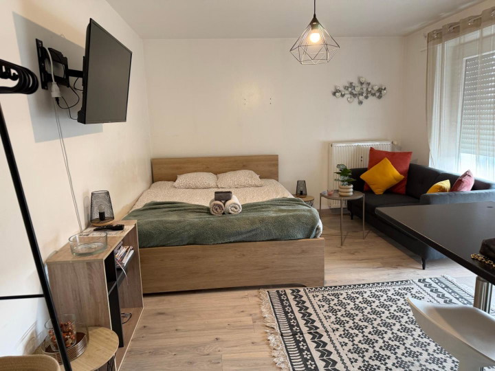 Joli Studio A Euroairport-basel-mulhouse-freiburg - Blotzheim