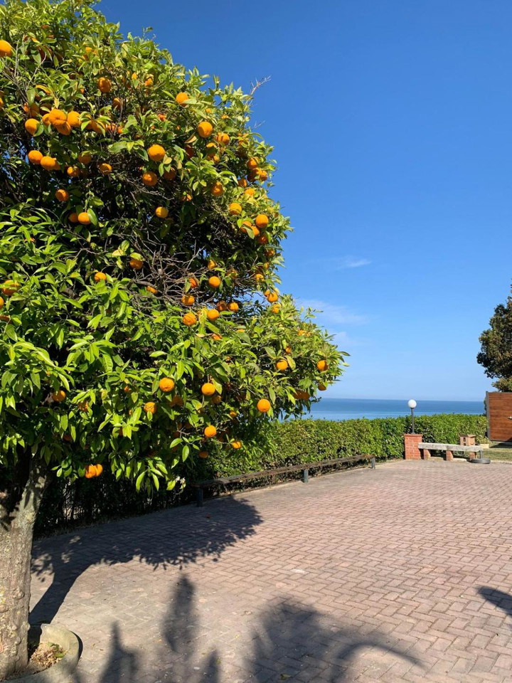 Vigna Sul Mare - Porto San Giorgio
