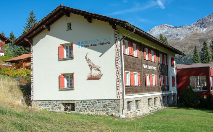 Erlebacherhus - Alpes