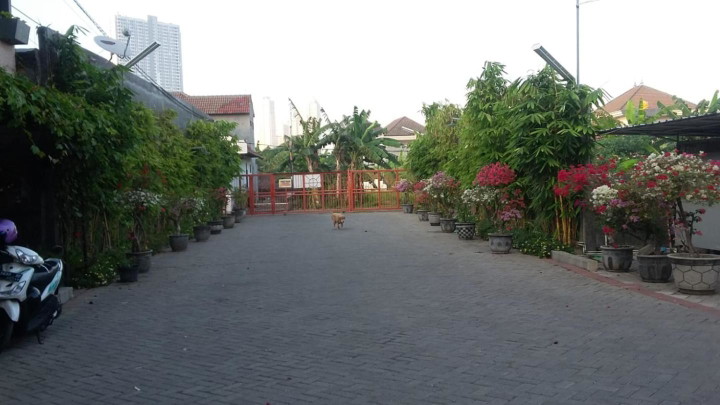 Taman Paradise Homestay - スラバヤ