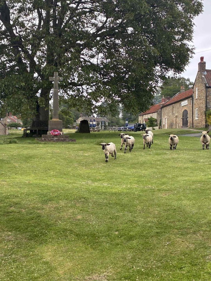The Barn Guest House And Tearoom - Helmsley