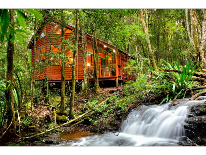 The Mouses House Rainforest Retreat - Gold Coast