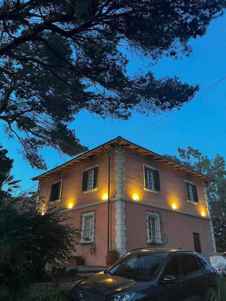 Allulivus - Livorno