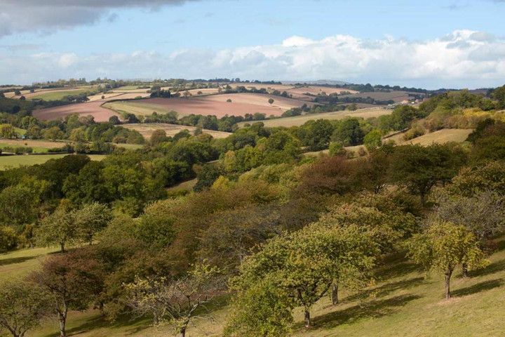 The Shepherds Hut At Abberley Glamping - West Midlands