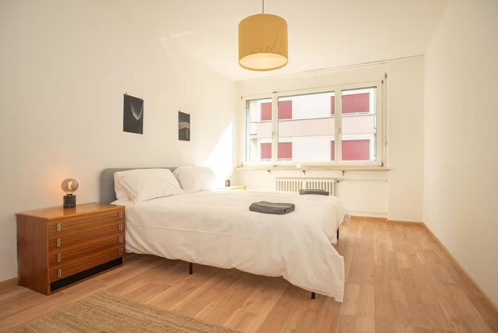Central Studio Apartment With Free Baselcard - Picasso - Basel