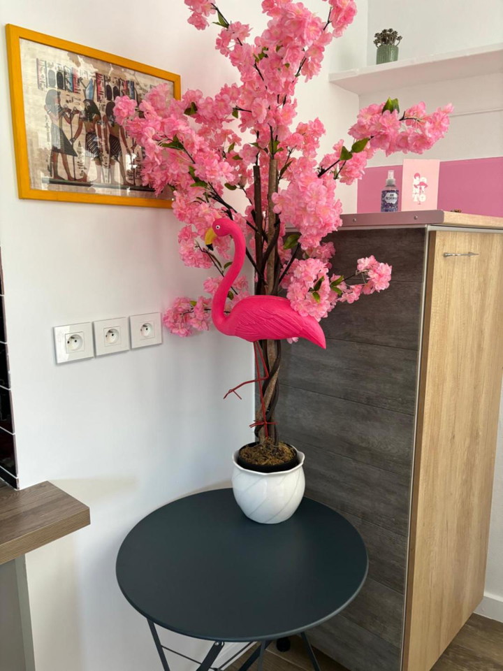 Maison Pink Flamingo Aeroport Tillé 2 A 4 Personnes - Beauvais