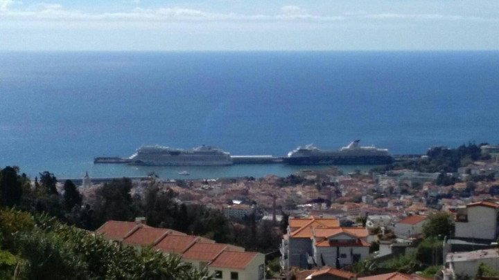 House Joel & Sónia - Funchal