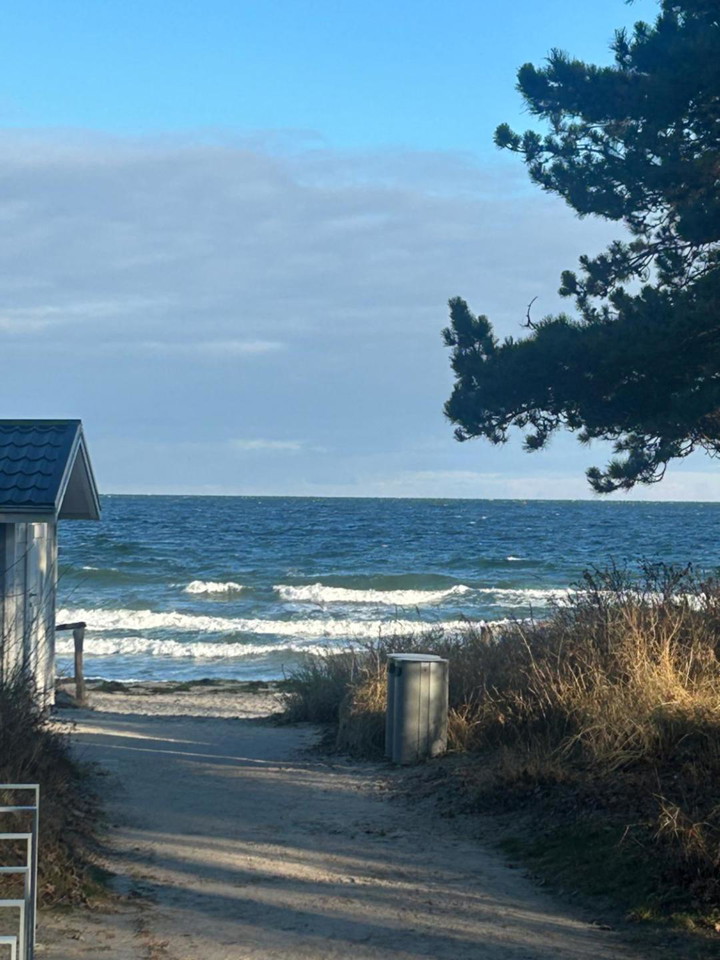 Seepferdchen - Timmendorfer Strand