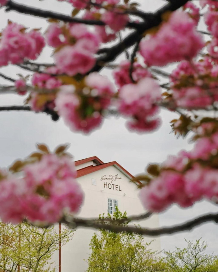 Normandy Farm Hotel & Conference Center - Pennsylvanie