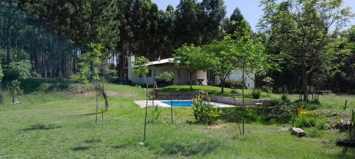 Los Agapantos - Concordia