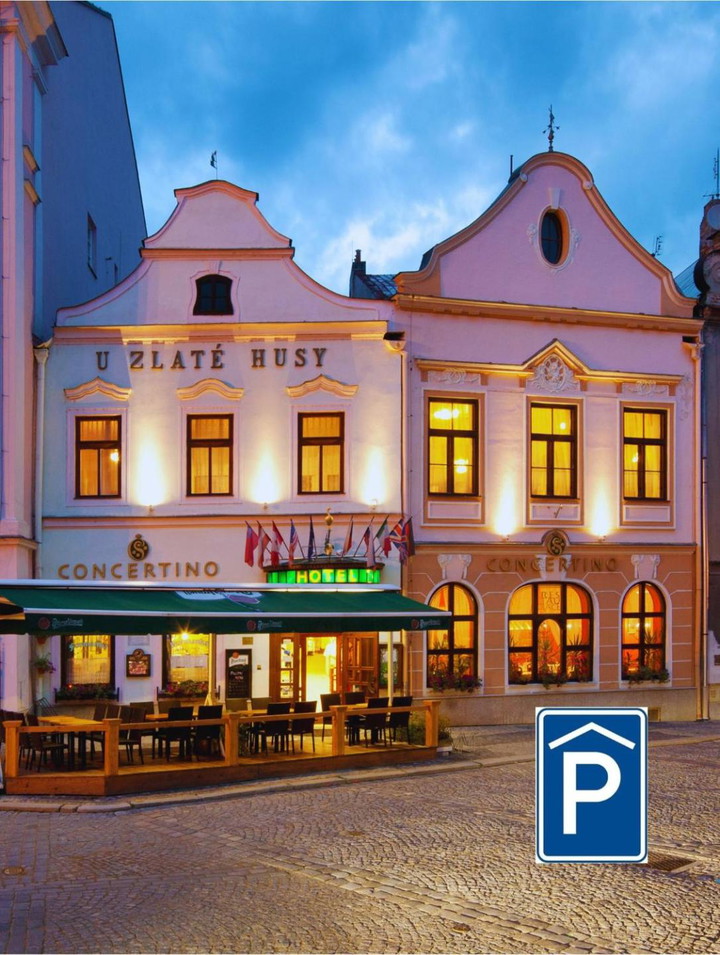 Hotel Concertino Zlatá Husa - Tchéquie