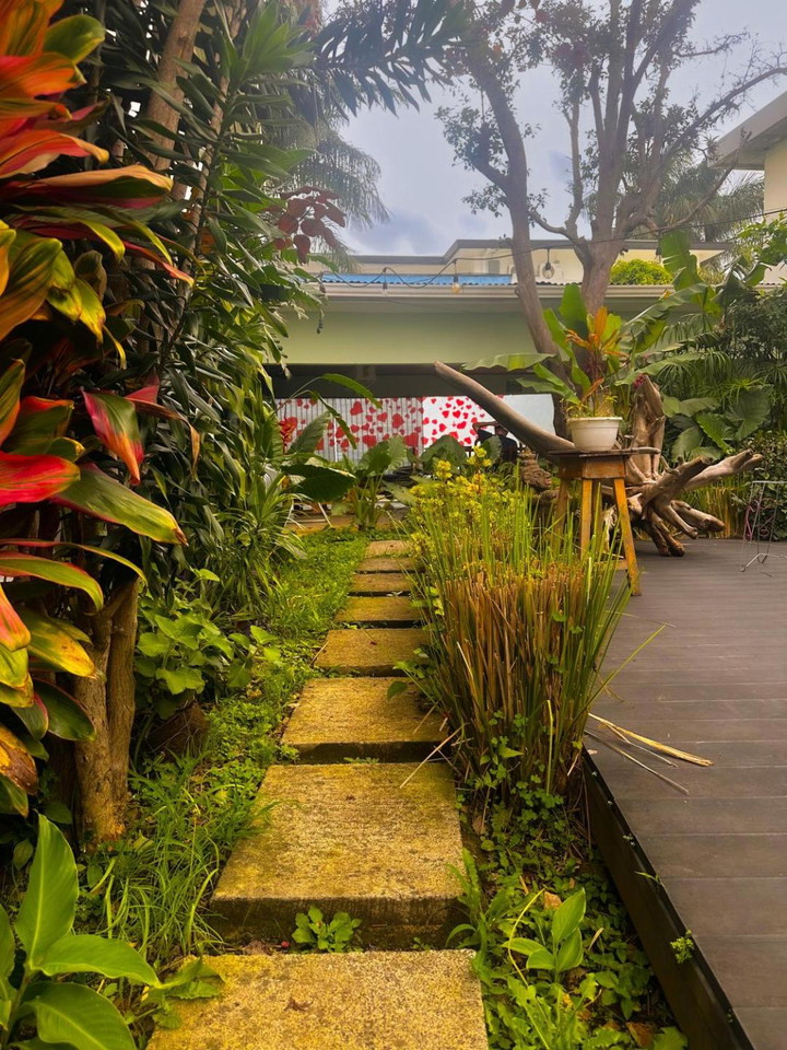 Haven Hostel - San José, Costa Rica