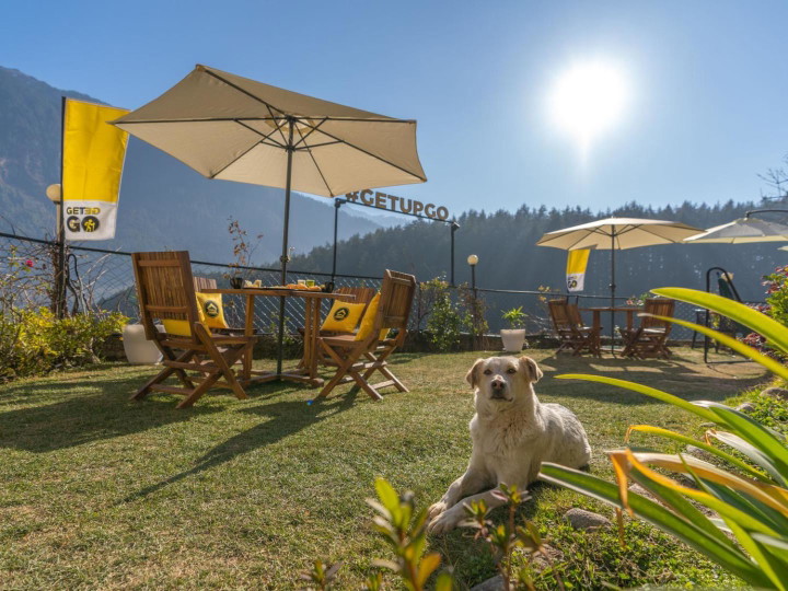 The Hosteller Manali, Old Manali - Manali