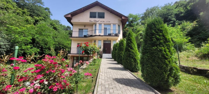Casa Patryk - Romania